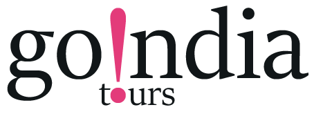 Go India Tours - Customized Private and Group Holidays to India